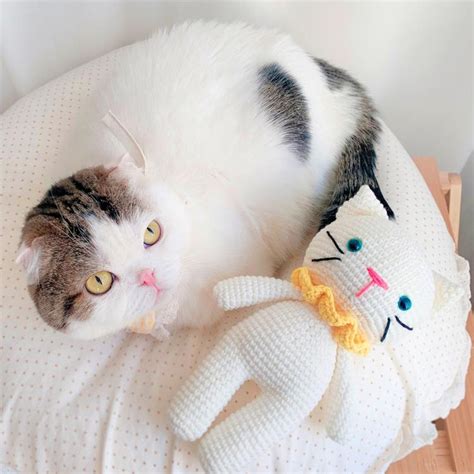 개달당 화이트 고양이 애착인형 고양이장난감 뜨개인형