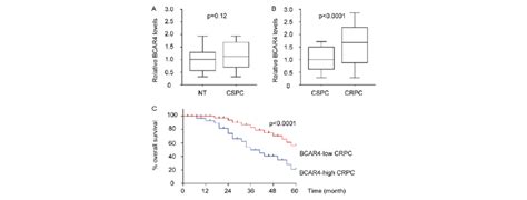 Bcar4 Is Upregulated In Crpc And Correlated With Poor Prognosis Of Download Scientific Diagram