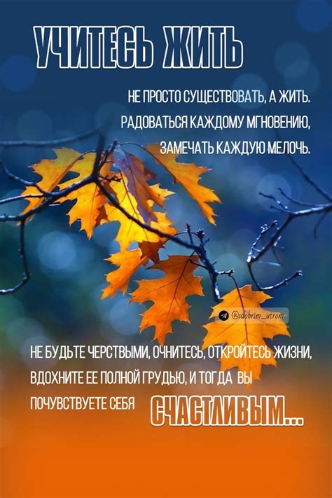 ЦИТАТЫ пожелания высказывания выражения афоризмы крылатые фразы мудростижизни You Are Invited