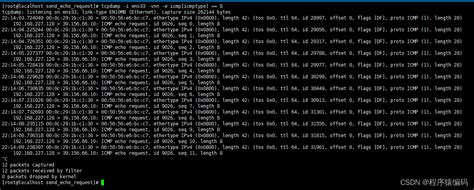 linux 下c c 实现发送icmp和icmpv6（报文分析） c 发送 icmp 请求 csdn博客