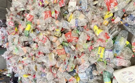 Cómo reciclar botellas PET y dónde depositarlas en Cancún CANCÚN NEWS I Síguenos en Redes