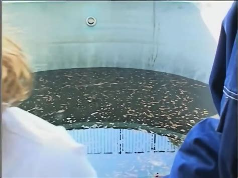 Classic Interracial DP Molly Rome