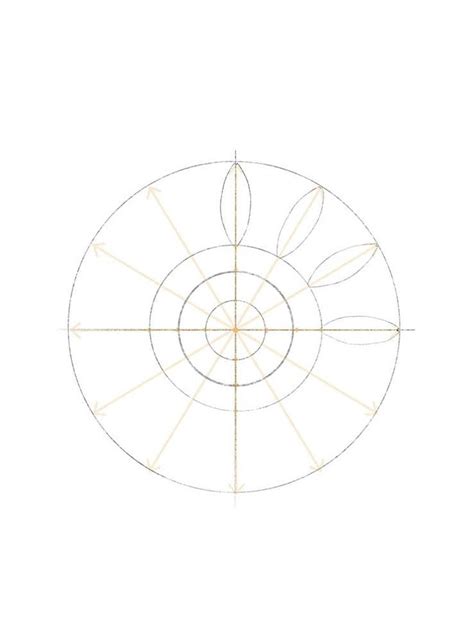 Learn To Draw A Sunflower In Procreate For Beginners Simple Flower Drawing Sunflower Drawing