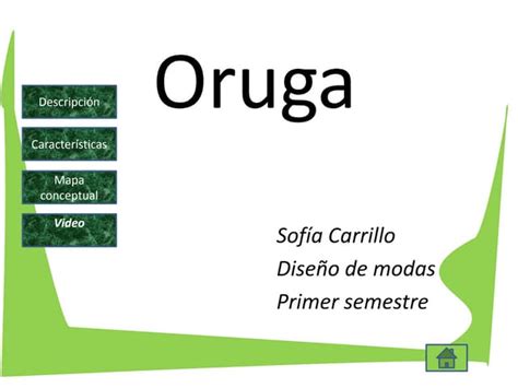 Oruga 1 1 Pptx