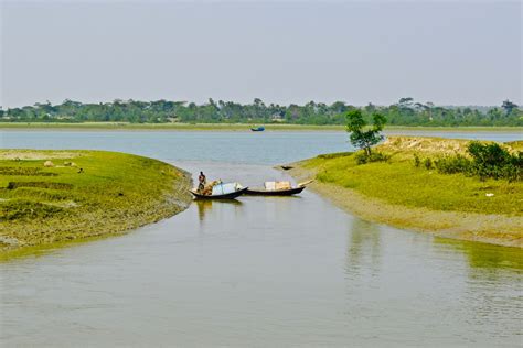Worldfish Hilsa Bangladesh