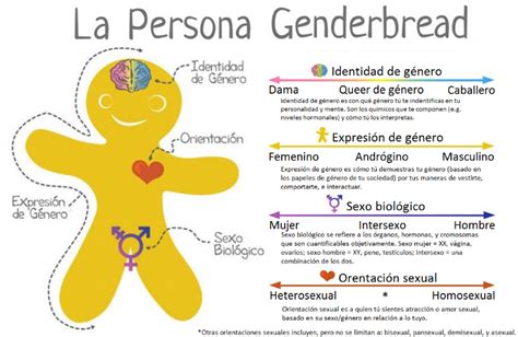 Esquema Identidad Expresión De Género Orientación Sexual Género