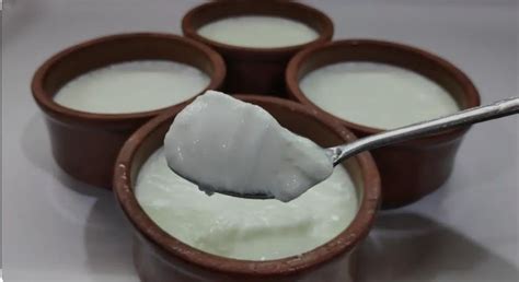 طريقة عمل الزبادي في المنزل بأسرع الطرق الأسبوع