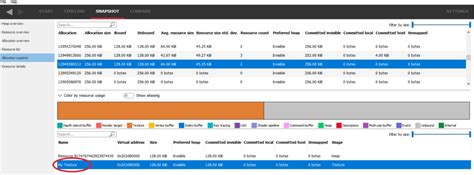 Viewing Directx® 12 Named Resources With Radeon™ Memory Visualizer 13