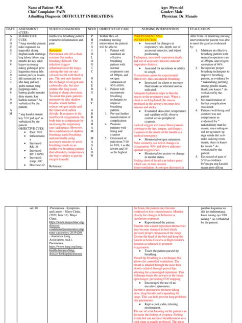 Nursing Care Plan Pneumonia Pdf Breathing Pneumonia