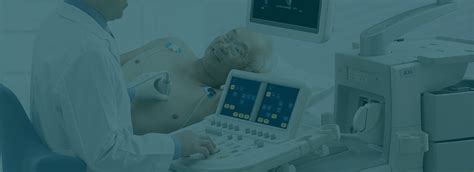 D Echocardiogram Kingspoint Medical Imaging