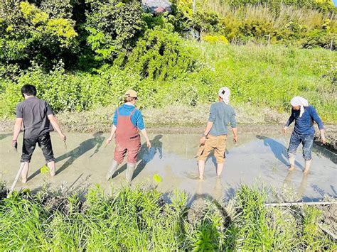 【農業体験神奈川】人類が古来からやってきた時短法と田植え ブログ 神奈川横浜市の農業体験ならまんまる楽園