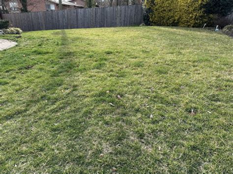 Lumpy Grass Rgardening