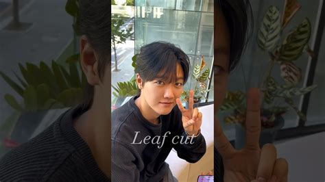 남자 1티어 가을 헤어스타일 리프컷 Youtube