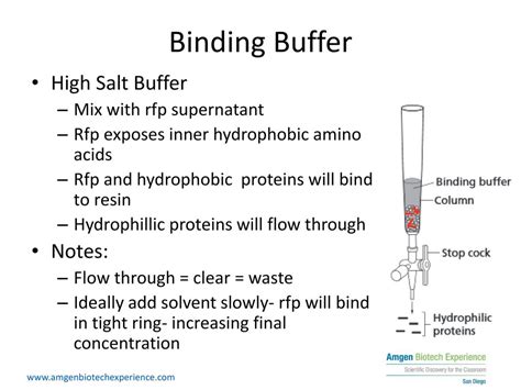 Lisa Yoneda Mira Mesa High School Teacher Background Ppt Download