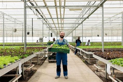 Traditional Farming Vs Modern Farming Exploring The Differences In Agricultural Practices AP