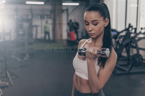 Gorgeous Sportswoman Working Out With Dumbbells At Gym Studio Stock