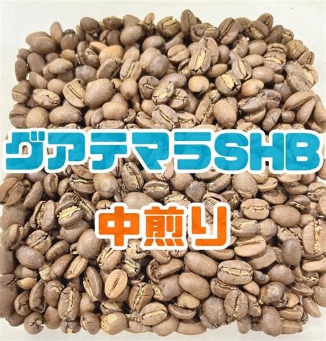 自家焙煎コーヒー豆 グアテマラ Shb ハイロースト 500g｜paypayフリマ