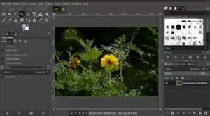 How To Make Selections In GIMP Quick Shortcuts Edits