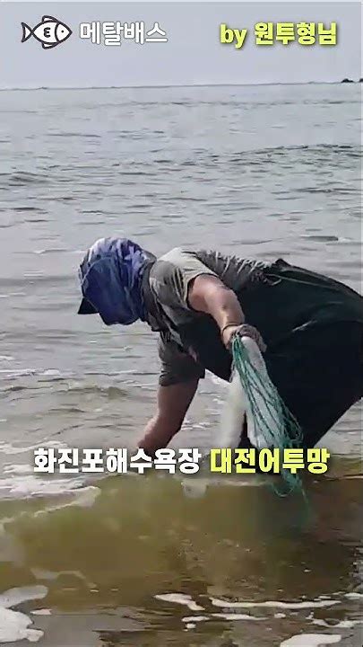 원투형님화진포해변실시간현황sbs생활의달인바다투망달인shorts 숭어전어학꽁치투망한국최고수투망사양손모아치기바다투망메탈배스바다투망낚시인cast Netsplay