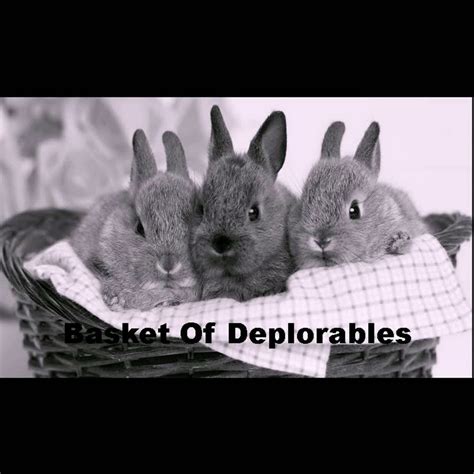 Basket Of Deplorables Youtube