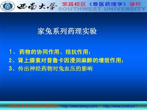 实验七 协同拮抗 word文档在线阅读与下载 无忧文档