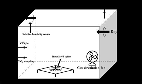 1 Schematic Of Clo2 Gas Treatment Chamber Setup Download Scientific