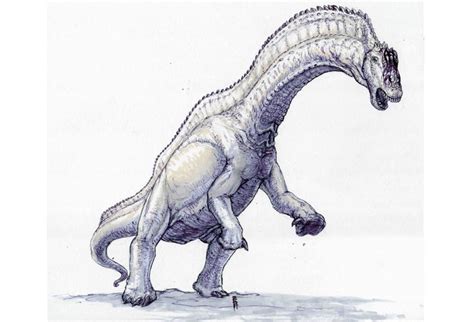 Dicraeosaurus By Brian Engh Sauropod Vertebra Picture Of The Week