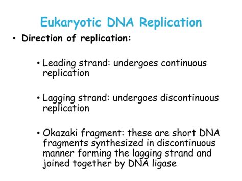 dna replication ppt
