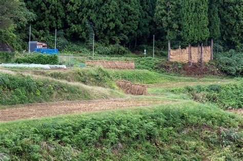 星峠の棚田 2023年10月2日 いきあたりばったり
