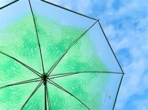 Buzzfeed編集部が注目！雨の日でもテンションがアガる傘7選