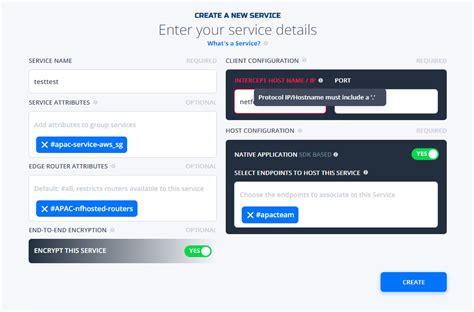 create and manage services netfoundry