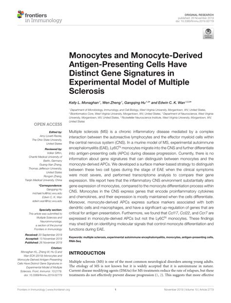 Pdf Monocytes And Monocyte Derived Antigen Presenting Cells Have