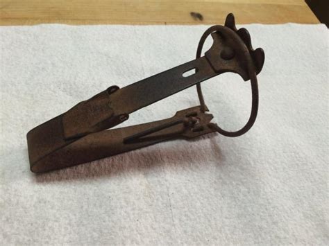 Newhouse Gopher Trap Trapperman Forums
