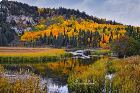 Silver Lake Utah Photo Fall Foliage And Lake Reflection Autumn Big