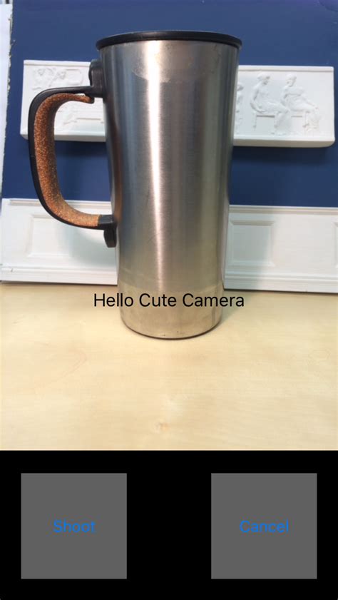 How To Make Xib Based Custom UIImagePickerController Cameras In Swift