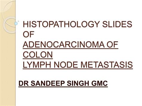 Histopathology Slides Of Ppt