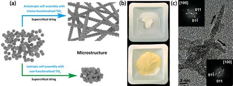 a assembly of tio2 nanoparticles using either trizma functionalized