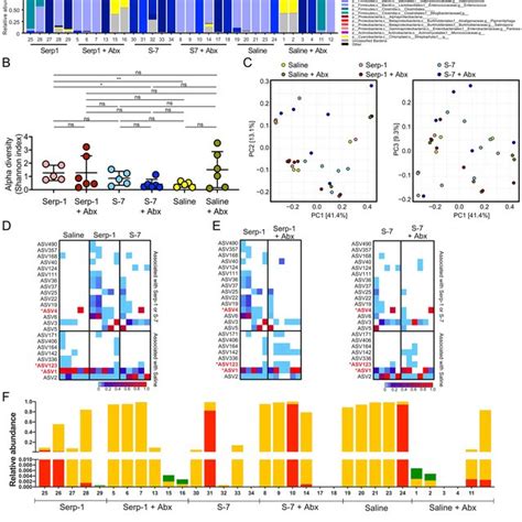 16 S Microbiome Analysis A 16s Microbiome Relative Abundance Genus