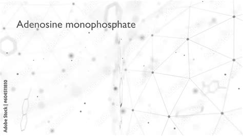 Adenosine Monophosphate Or Amp Adenylic Acid Molecule Nucleotide