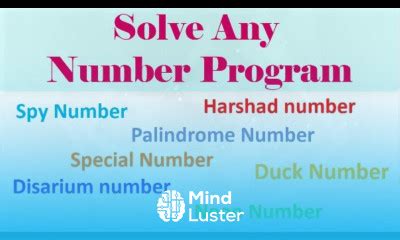 Learn Solve Any Number Program Mind Luster