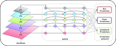 Overall Network Structure It Is Based On Efficientdet D And Has