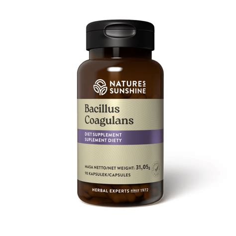 Bacillus Coagulans