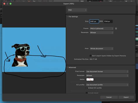 How Do I Get Rid Of These Lines Affinity Photo Desktop Questions MacOS And Windows
