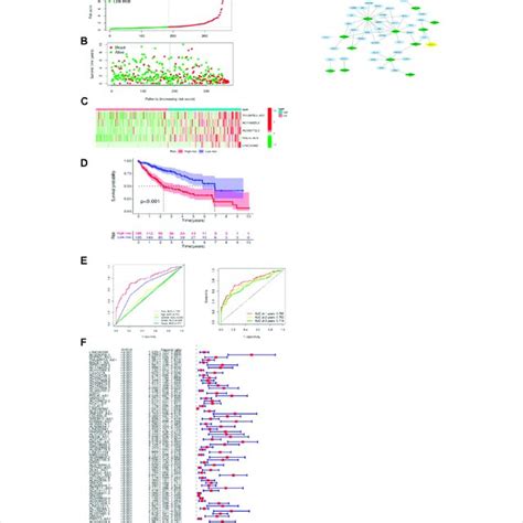 A Risk Score Distribution And Median Value In Tcga Hcc Cohort B