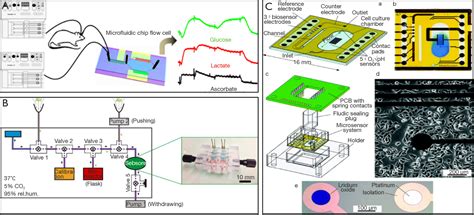 Figure 3 From Organs On Chip Monitoring Sensors And Other Strategies