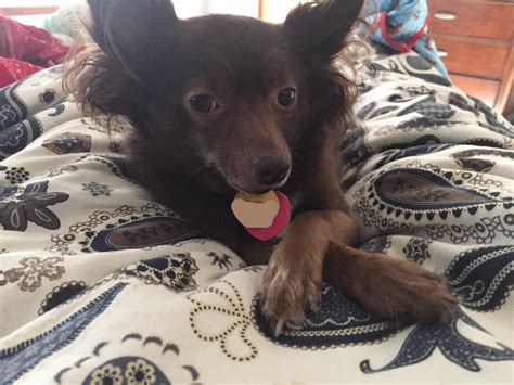 My Dapper Lad Rpaymoneywubby