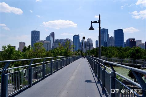 加拿大省提名 阿尔伯塔省 知乎