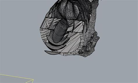 Why Is My Mesh Not Showing Up Correctly For 3d Printing Rhino For