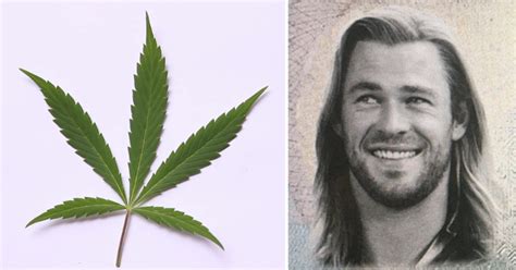 This Man In Canada Tried To Buy Weed Using Fake Id Of Thor Left Everyone Amused