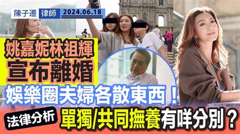 姚嘉妮林祖輝 宣布離婚 結束18年婚姻｜娛樂圈夫婦揭離婚潮 康子妮林曉峰都墜入18年魔咒？｜法律分析：共同撫養 單獨撫養 有何分別？｜歐倩怡